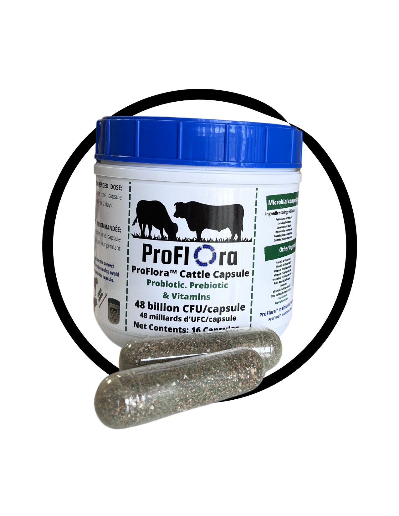 Bioferscience Inc. | Lab With Multiple Opportunities