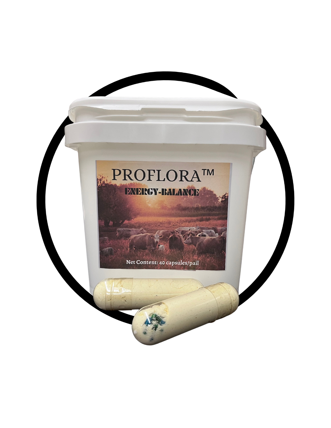 Bioferscience Inc. | Lab With Multiple Opportunities